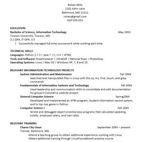 10+ Information Technology Resume Sample | Template Creator